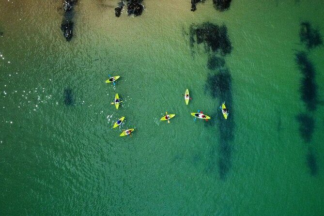 Guided kayaking trip exploring the secrets of the Tenby coastline - Who Is This Tour Best For?