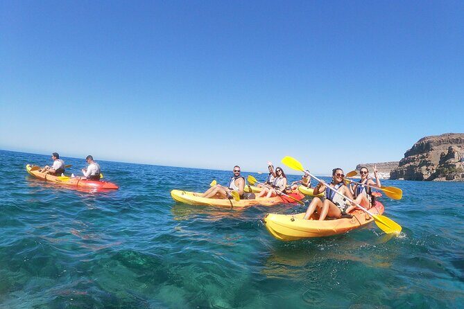Guided Kayaking Trip in Gran Canaria - Return Journey and Possible Wildlife Encounters