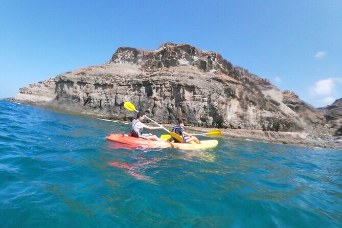 Guided Kayaking Trip in Gran Canaria - Who Is This Tour Best For?