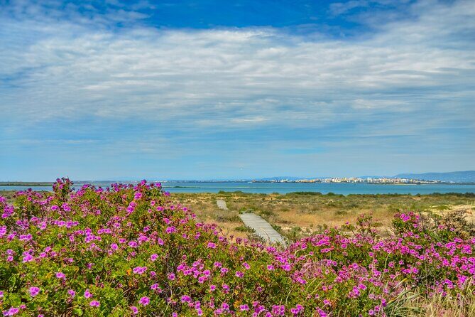 Guided Nature Tour & Hop On Hop Off 3 Islands - Practical Details and What to Expect