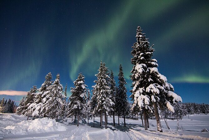 Guided Northern Lights Tour at Kiruna - The Experience in Detail