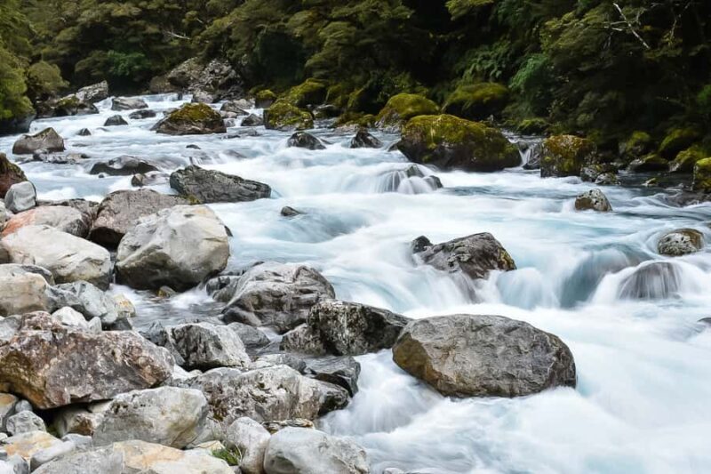Guided Private Milford Sound Day Tour from Te Anau(Cruise In - The Experience: From Te Anau to Milford Sound