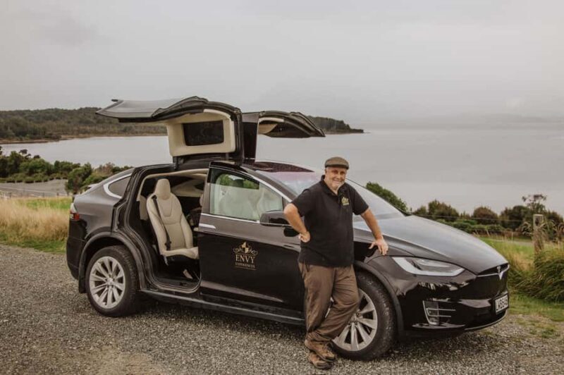 Guided Private Milford Sound Day Tour from Te Anau(Cruise In - The Sum Up: Who Should Consider This Tour?