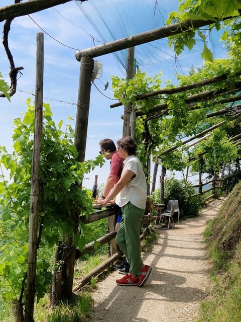 Guided Prosecco Tasting & Easy E-Bike Ride - What’s Not Included