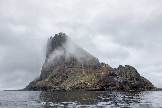 Guided Puffin Safari Boat Tour - Practical Tips for Future Travelers
