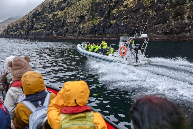 Guided Puffin Safari Boat Tour - The Sum Up