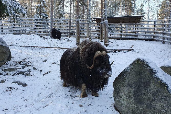 Guided Ranua Wildlife Park tour with Lunch, Small group adventure - Who Is This Tour Best For?