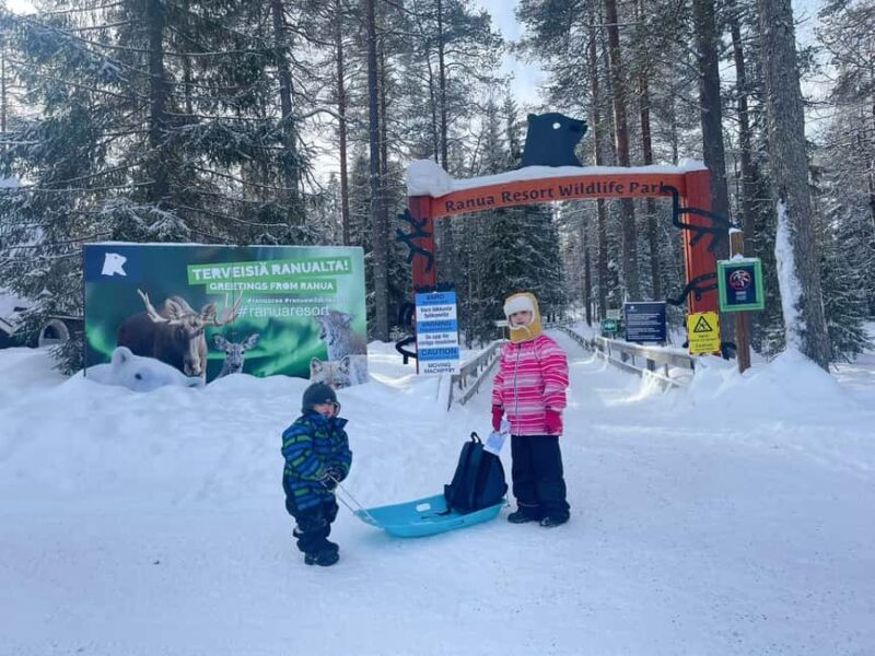 Guided Ranua Wildlife Zoo Tour with Lunch Buffet - Key Points