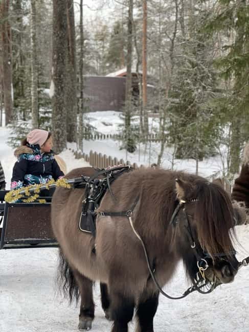 Guided Ranua Wildlife Zoo Tour with Lunch Buffet - Who Will Love This Tour?