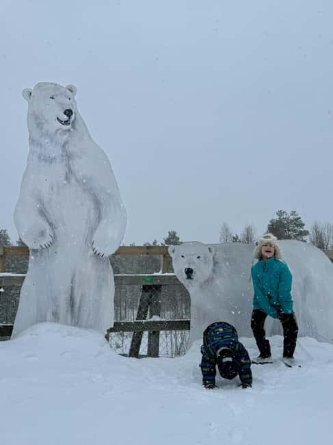 Guided Ranua Wildlife Zoo Tour with Lunch Buffet - FAQ