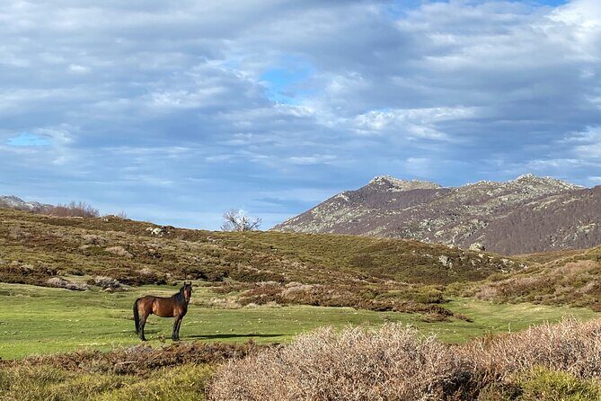 guided ride on the Plateau du Coscione by electric mountain bike - Understanding the Coscione Plateau Electric Bike Tour