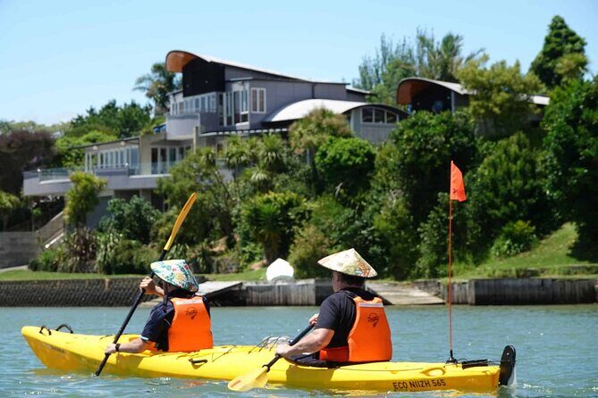 Guided Riverhead Tavern Kayak Tour in Auckland - Key Points