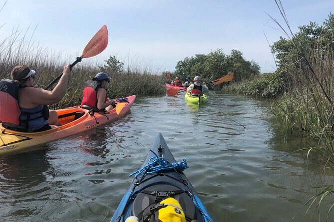 Guided Salt Marsh Kayak Tour - Frequently Asked Questions