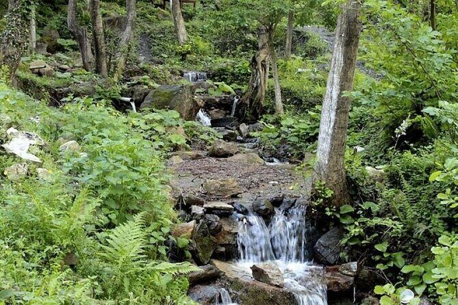 Guided Sapanca and Masukiye Full Day Tour from Istanbul - Practical Aspects and Tips