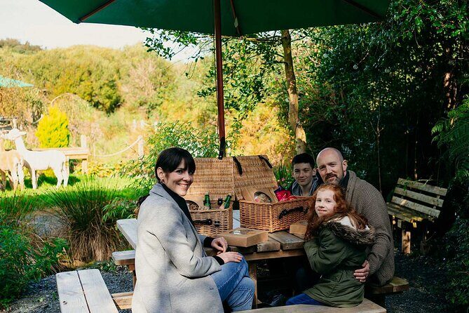 Guided Scenic Alpaca Trekking Experience Northern Ireland - Key Points