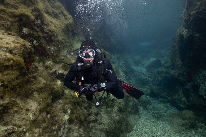 Guided SCUBA Diving for Certified Divers in Athens - Detailed Review of the Athens Guided SCUBA Tour