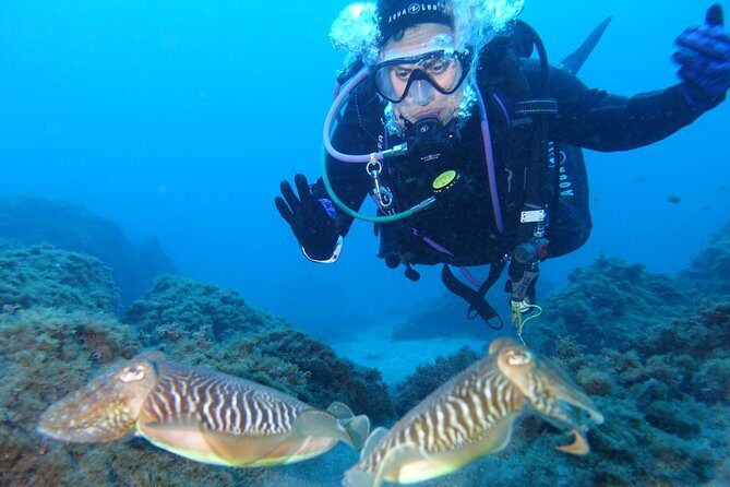 guided Scuba Diving on Tenerife (for certified divers) - FAQ