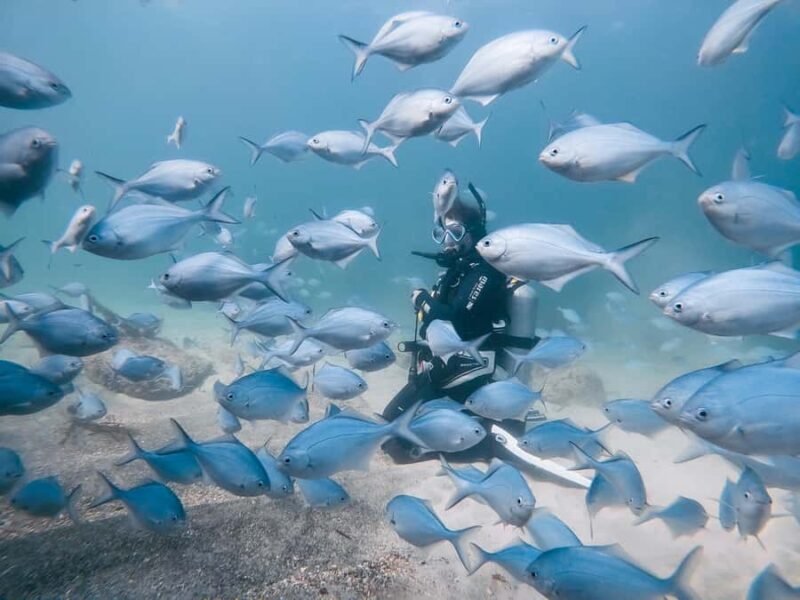 Guided Shore Dive Tour for Certified Divers - Introduction