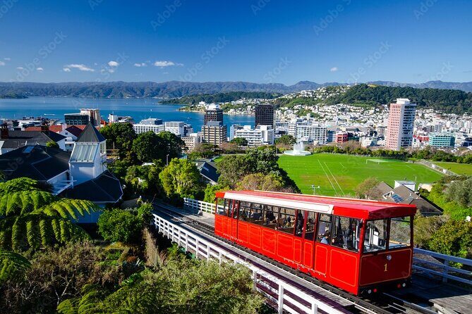 Guided Small Group Walking Tour in Wellington - Who Will Love This Tour?