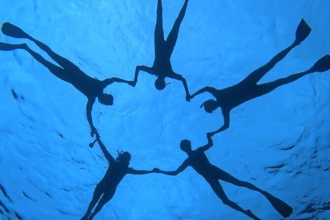 Guided Small Group Whale Watching and Swim Tour Tahiti - Final Thoughts