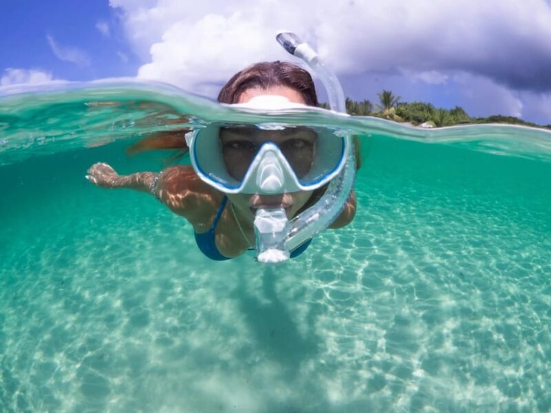 Guided Snorkel in Barcelona Beach - An In-Depth Look at the Guided Snorkel Experience