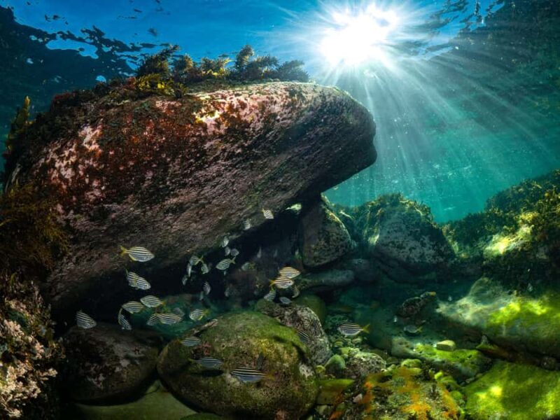 Guided Snorkel Tour at Australias most iconic beach - The Experience in Depth