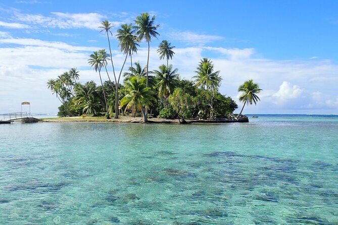 Guided Snorkeling and Relaxation on the Motu Ofetaro in Raiatea - Key Points