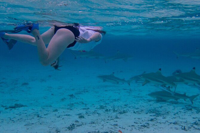 Guided Snorkeling and Relaxation on the Motu Ofetaro in Raiatea - Final Thoughts