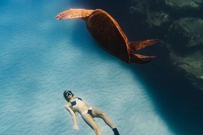 Guided Snorkeling for Beginners with Flotation Wetsuit - Practical Details and Tips