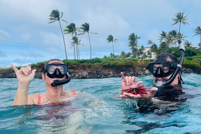 Guided Snorkeling for Beginners with Flotation Wetsuit - The Sum Up: Who Should Book This Tour?