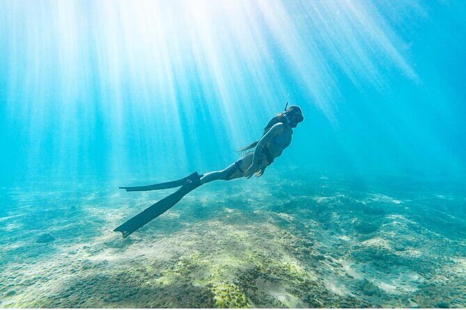 Guided Snorkeling for Beginners with Flotation Wetsuit - FAQs