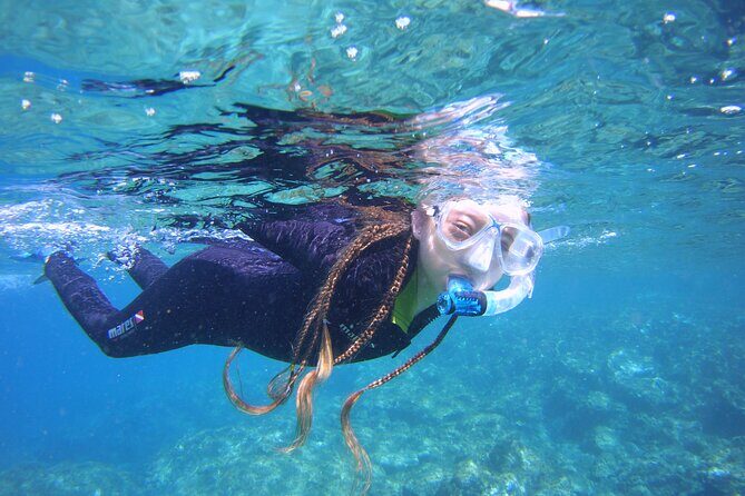 Guided Snorkelling Experience in South of Gran Canaria - Key Points