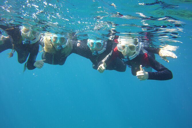 Guided Snorkelling Experience in South of Gran Canaria - The Itinerary in Detail