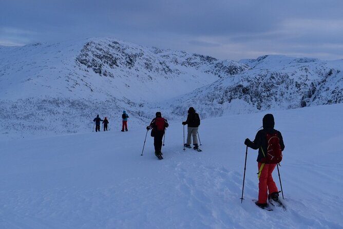 Guided Snowshoe Walk on Tromsoya Island in Tromso - Guides and Customer Service