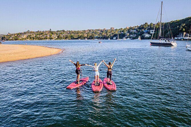 Guided Step-Up Paddle Board Tour of Narrabeen Lagoon - Key Points