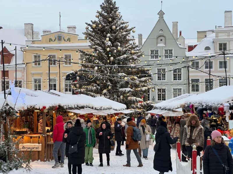 Guided Tallinn Old Town Winter Walking Tour - Why You’ll Love This Tour