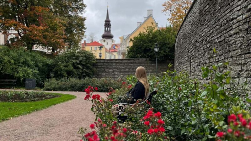 Guided Tallinn Old Town Winter Walking Tour - The Sum Up