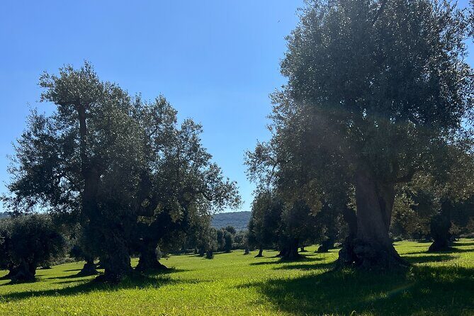 Guided Tour Among the Hills of Ostuni with Aperitif at Sunset - Why This Tour Is a Great Choice