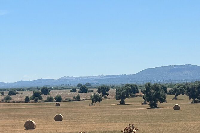 Guided Tour Among the Hills of Ostuni with Aperitif at Sunset - FAQ