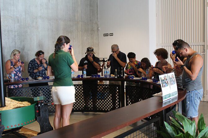 Guided tour and olive oil tasting in Alhaurin el Grande (Málaga) - Guided tour and olive oil tasting in Alhaurin el Grande (Málaga)