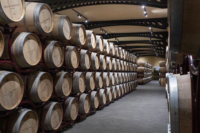 Guided tour and tasting at Duca di Salaparuta Winery - Key Points