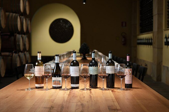 Guided tour and tasting at Duca di Salaparuta Winery - Meeting Point and Timing