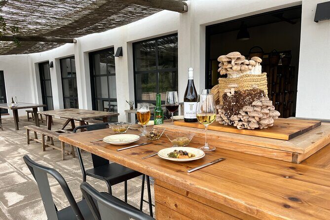 Guided tour and tasting in mushroom cultivation - Exploring the Menorca Mushroom Cultivation Tour: A Practical Guide