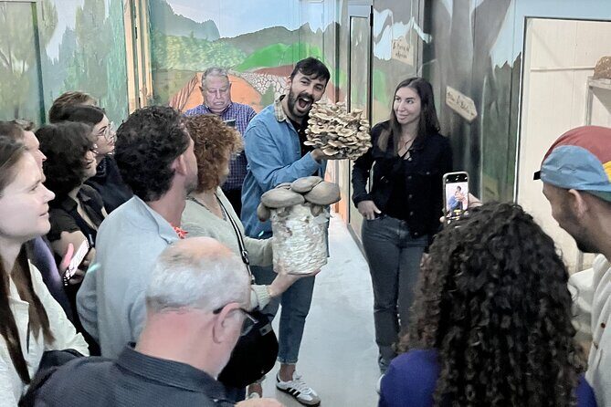Guided tour and tasting in mushroom cultivation - Who Will Love This Tour