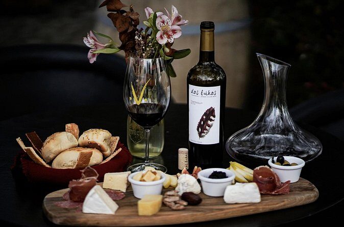 Guided tour and tasting of 4 wines at Viñedo Dos Búhos - The Sum Up