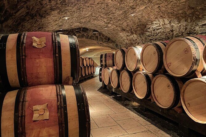 Guided tour and wine tasting Northern Rhône Valley - The Wine Tastings: Quality and Variety