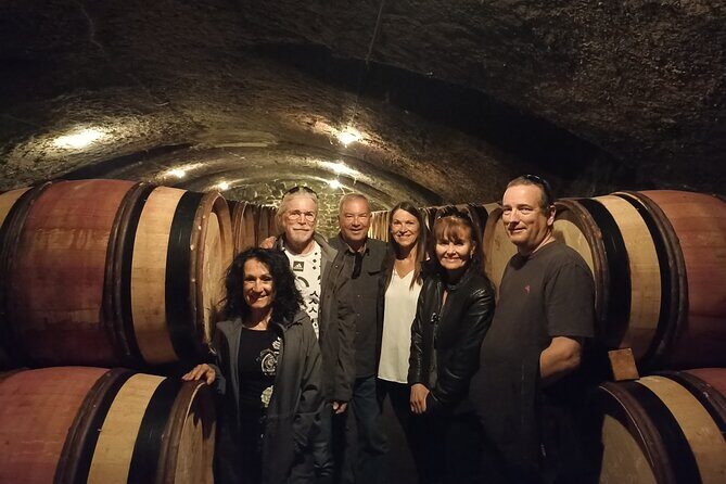 Guided tour and wine tasting Northern Rhône Valley - The Cost and Value