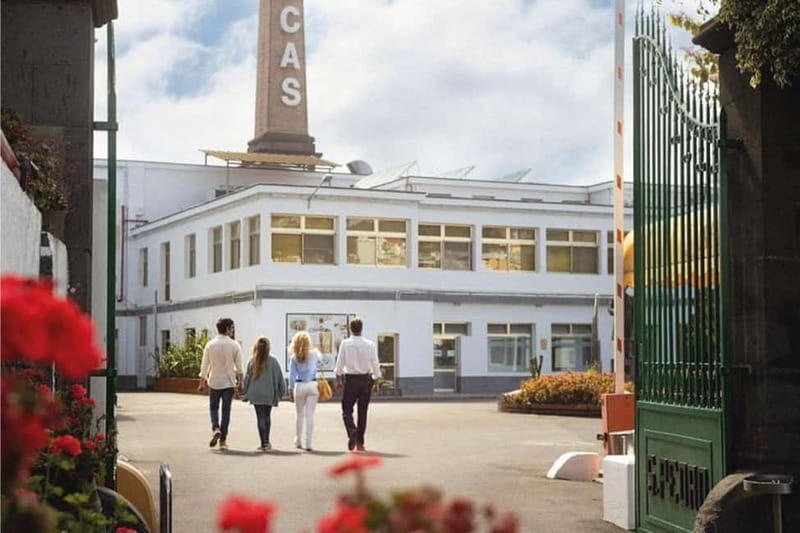 Guided Tour at Ron Arehucas Distillery - A Closer Look at the Tour Experience