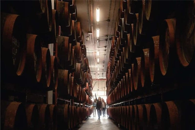 Guided Tour at Ron Arehucas Distillery - 3. Production Process & Facility Tour