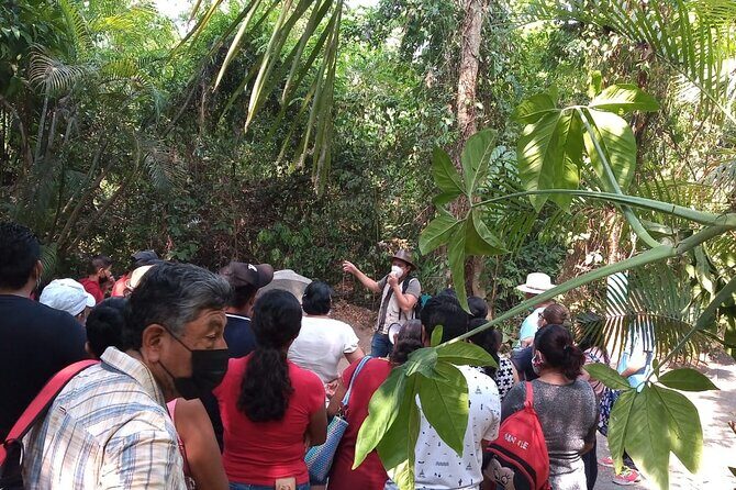 Guided Tour by the Olmec Stone Men - The Value and Practicality of the Tour